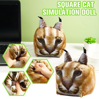 Raise A Floppa 2022 Juguetes De Peluche De Gato Cuadrado Lindos Y ...